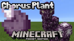 Minecraft Chorus Fruit: How To Grow It And What It’s Used For – Mmorpgm