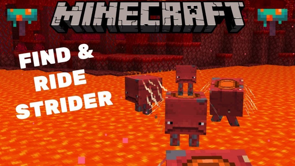 Minecraft: How To Find And Ride Strider – Mmorpgm